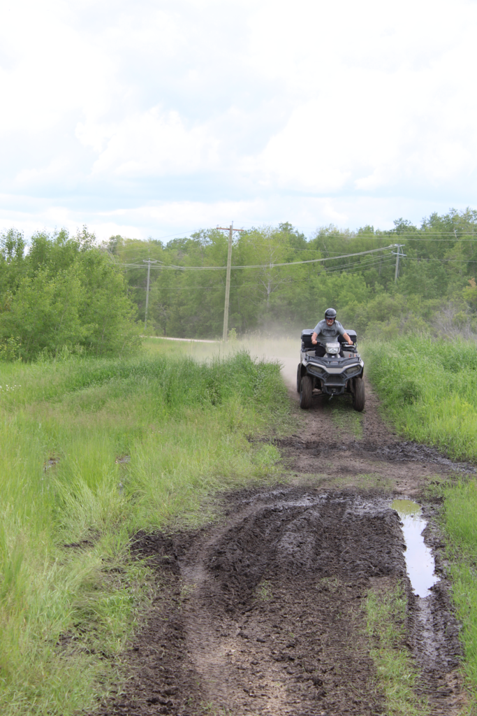 Near Here - Grand Palms RV